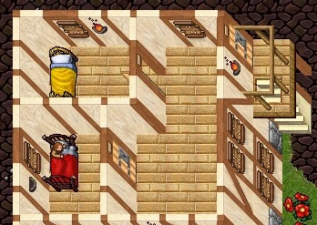 Wood Avenue 6b | TibiaWiki | Fandom