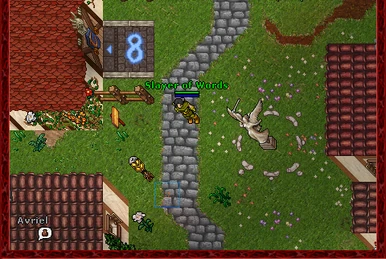 tibia gm