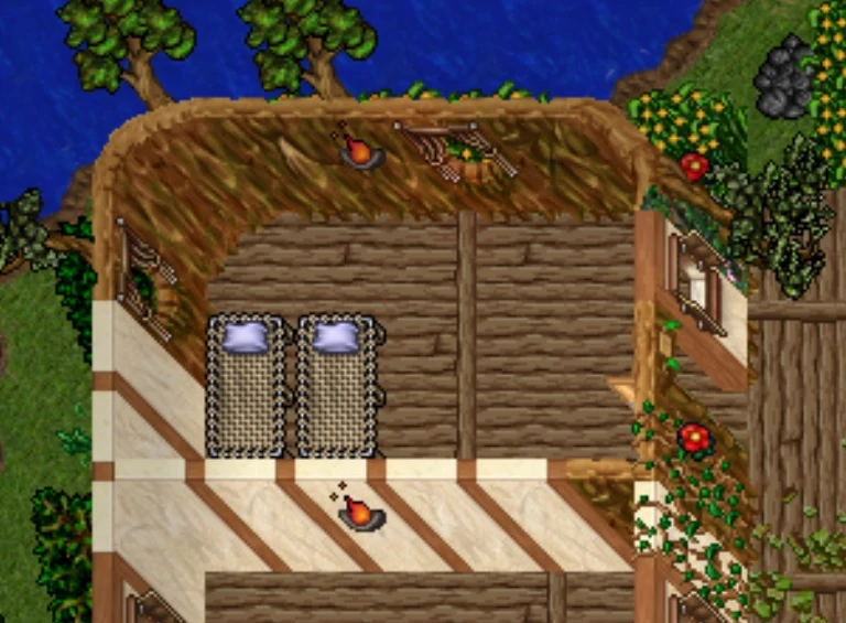 Coastwood 2 | TibiaWiki | Fandom