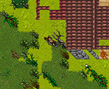 Black Knight Quest/Spoiler | TibiaWiki | Fandom