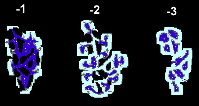 Sea Serpent Area | TibiaWiki | Fandom