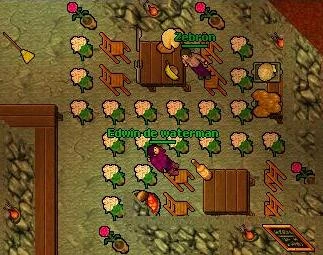 Dinner | TibiaWiki | Fandom