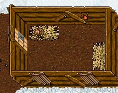 Tusk Flats 6 | TibiaWiki | Fandom