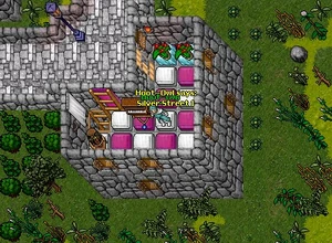 Silver Street 1 | TibiaWiki | Fandom