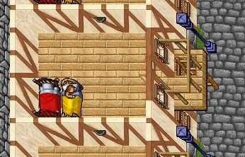 The City Wall 3e | TibiaWiki | Fandom