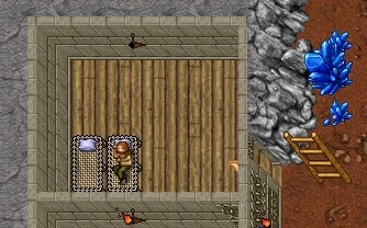 Tunnel Gardens 7 | TibiaWiki | Fandom