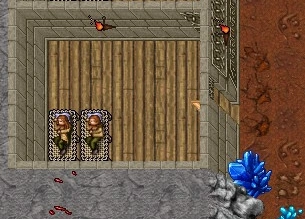 Tunnel Gardens 8 | TibiaWiki | Fandom