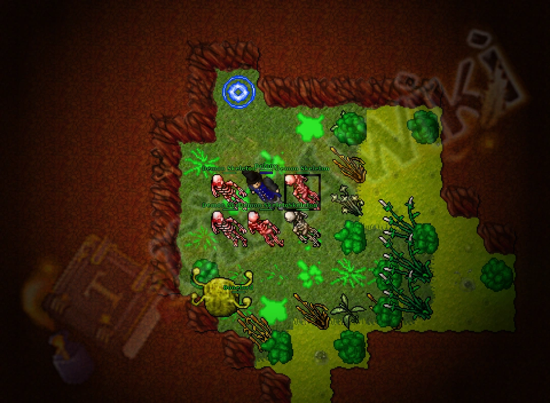 TibiaWiki:Interviews/Delany | TibiaWiki | Fandom