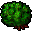 Bush | TibiaWiki | Fandom