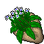 Potted Flower (Large) | TibiaWiki | Fandom