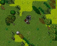 Blood Herb Quest | TibiaWiki | Fandom