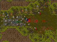 Dangerous Depths Quest | TibiaWiki | Fandom