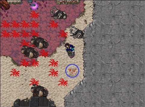 25 Years of Tibia Quest | TibiaWiki | Fandom