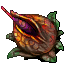 Addled Flower | TibiaWiki | Fandom