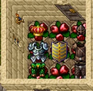 Crown | TibiaWiki | Fandom