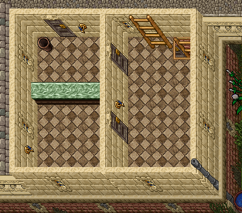 Swamp Watch | TibiaWiki | Fandom