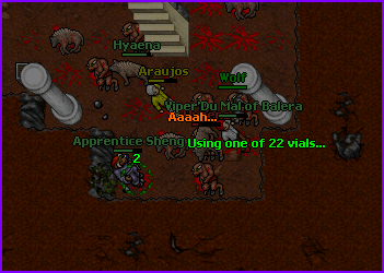 Apprentice Sheng | TibiaWiki | Fandom