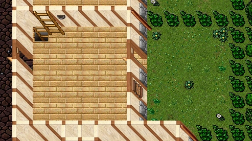 Wood Avenue 8 | TibiaWiki | Fandom