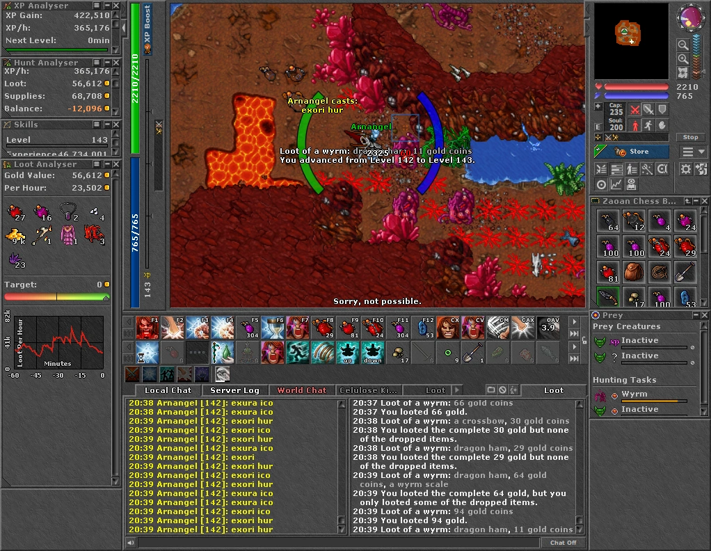 Wyrm | Tibia Wiki | Fandom