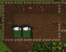 Outlaw Camp 3 | TibiaWiki | Fandom