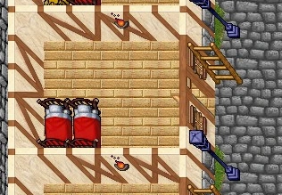 The City Wall 3b | TibiaWiki | Fandom