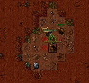 Rottie the Rotworm | TibiaWiki | Fandom