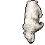 Polar Bear | TibiaWiki | Fandom