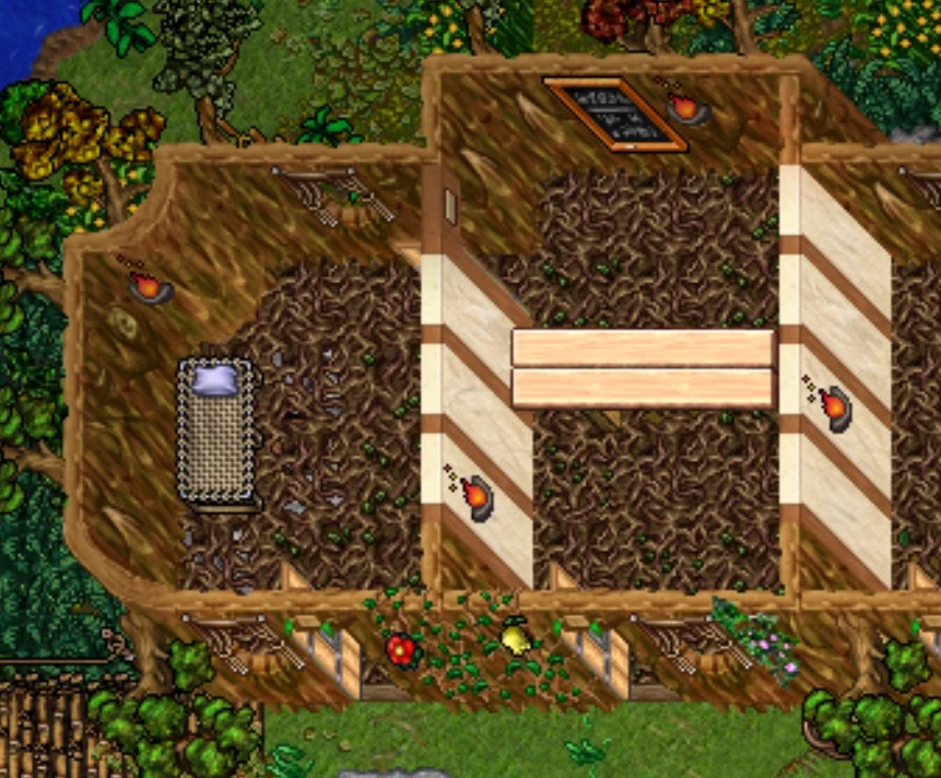 Coastwood 6 (Shop) | TibiaWiki | Fandom