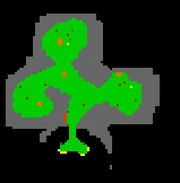 Goroma/Maps | TibiaWiki | Fandom