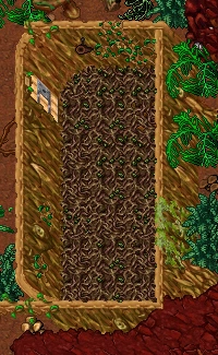 Shadow Caves 2 | TibiaWiki | Fandom