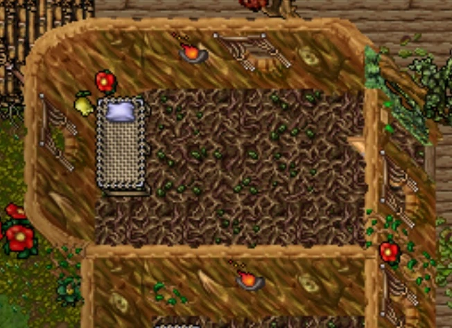 Treetop 7 | TibiaWiki | Fandom