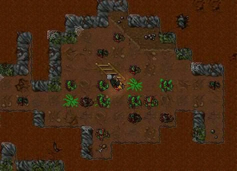 Katana Quest | TibiaWiki | Fandom