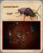 Lancer Beetle | TibiaWiki | Fandom