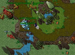 Cartography 101 Quest | TibiaWiki | Fandom