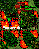 Orshabaal | TibiaWiki | Fandom