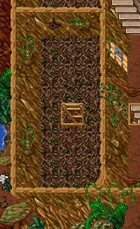 Shadow Caves 5 | TibiaWiki | Fandom