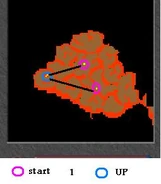 Insectoid Outfits Quest | TibiaWiki | Fandom