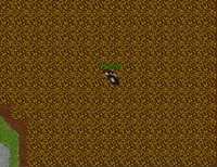 Wheat Field | TibiaWiki | Fandom