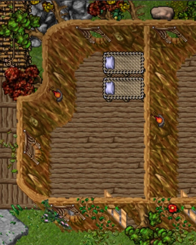 Coastwood 3 | TibiaWiki | Fandom