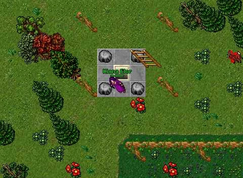 Shadow Caves/Houses | TibiaWiki | Fandom