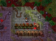 Medusa Tower | TibiaWiki | Fandom