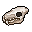 Werebear Skull | Tibialatin Wiki | Fandom