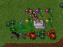 Carlin | Tibialatin Wiki | Fandom