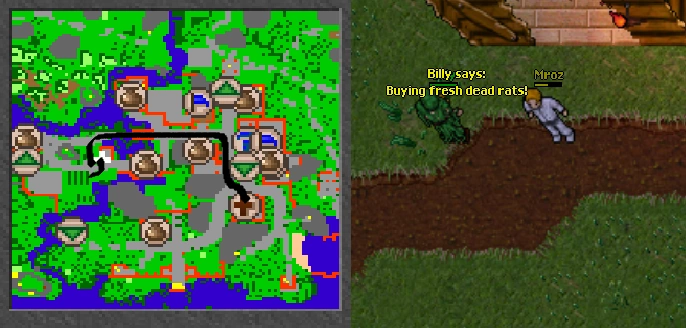 Small Health Potion Quest | Tibialatin Wiki | Fandom