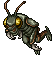 Insectoid Scout | Tibialatin Wiki | Fandom