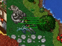 Carlin | Tibialatin Wiki | Fandom