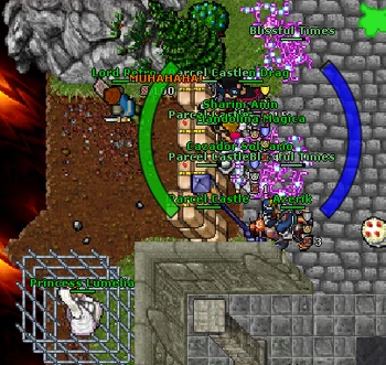 25 Years of Tibia Quest | Tibialatin Wiki | Fandom