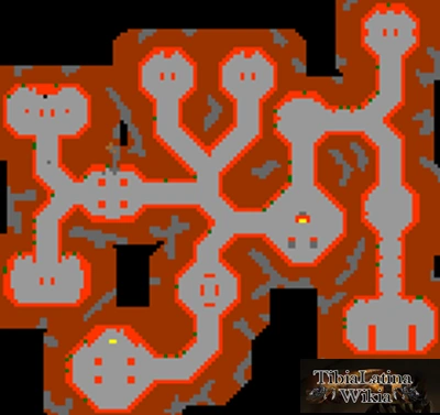 What do you think is the best respawn for killing medusas? : r/TibiaMMO