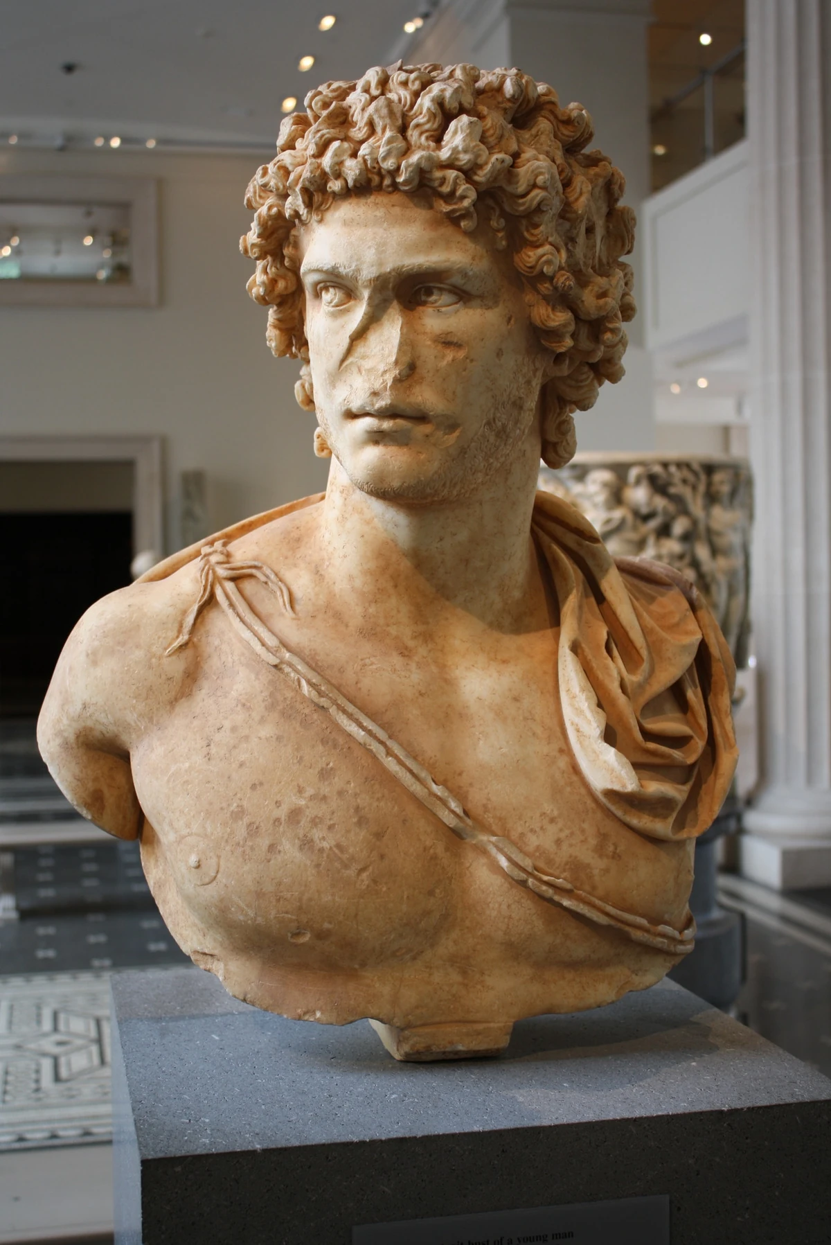 Tiberius Avitus (Requiem Character) | Tide of Thunder Wiki | Fandom