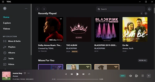 Tidal | Wiki Tiếng Việt | Fandom